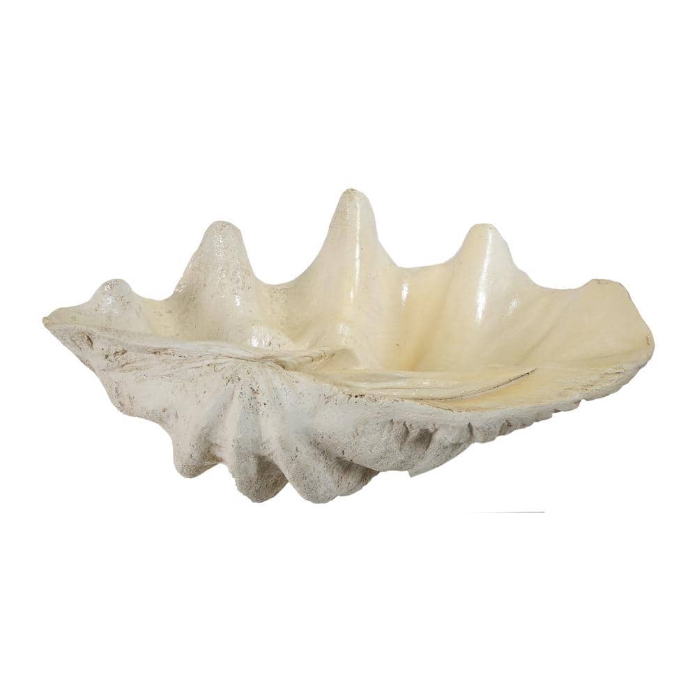 Large Clam Shell Centerpiece Corner Giant Clam Shell Vessel Large Clam ...