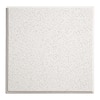 USG Ceilings 2 ft. x 2 ft. Radar White Shadowline Tapered Edge Lay-In ...