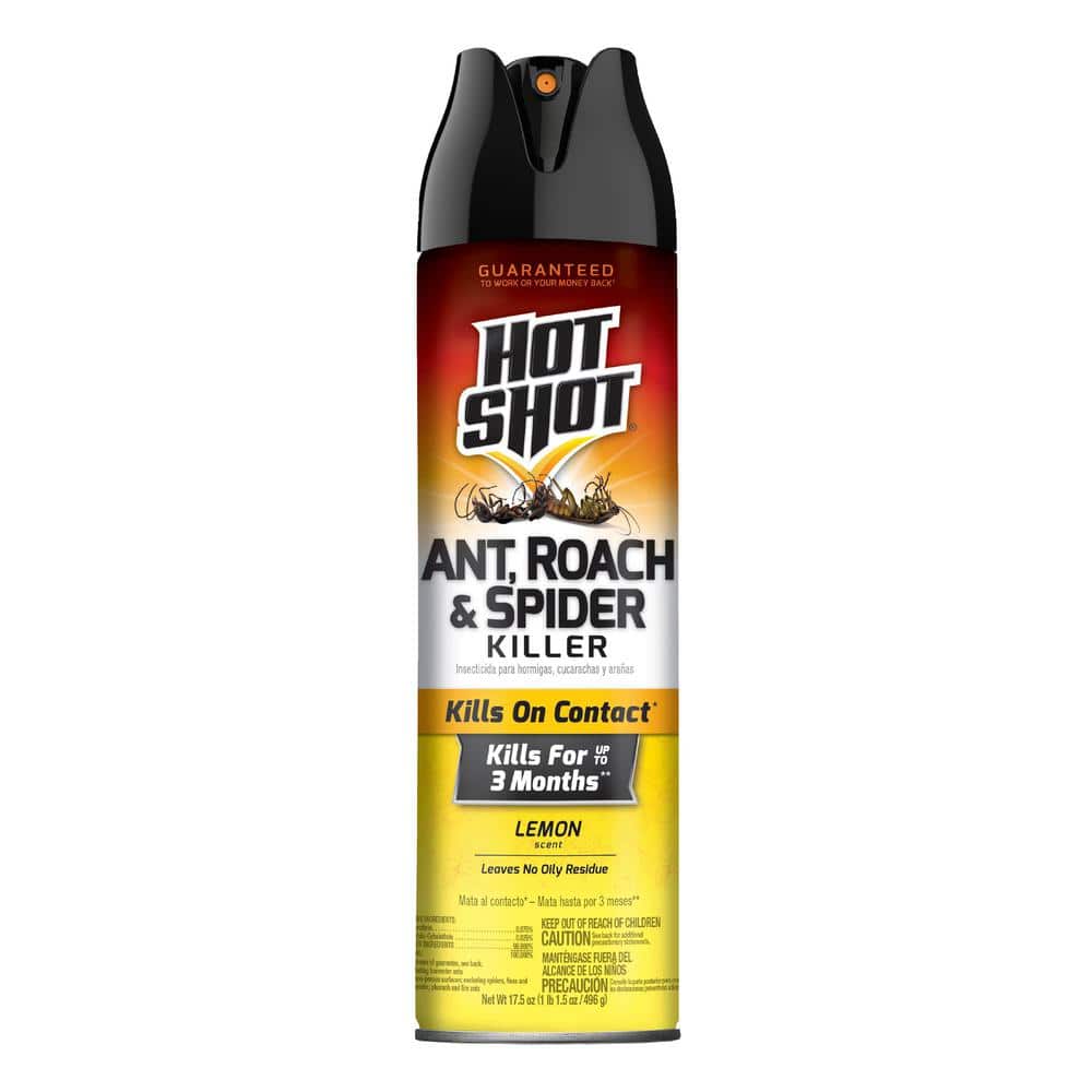 Hot Shot 17.5 oz. Ant, Roach, and Spider Insect Killer Aerosol Spray ...