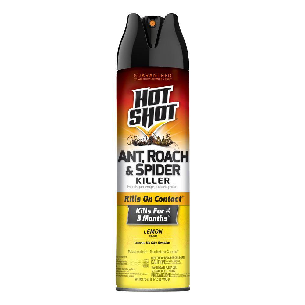 Reviews for Hot Shot 17.5 oz. Ant, Roach, and Spider Insect Killer ...