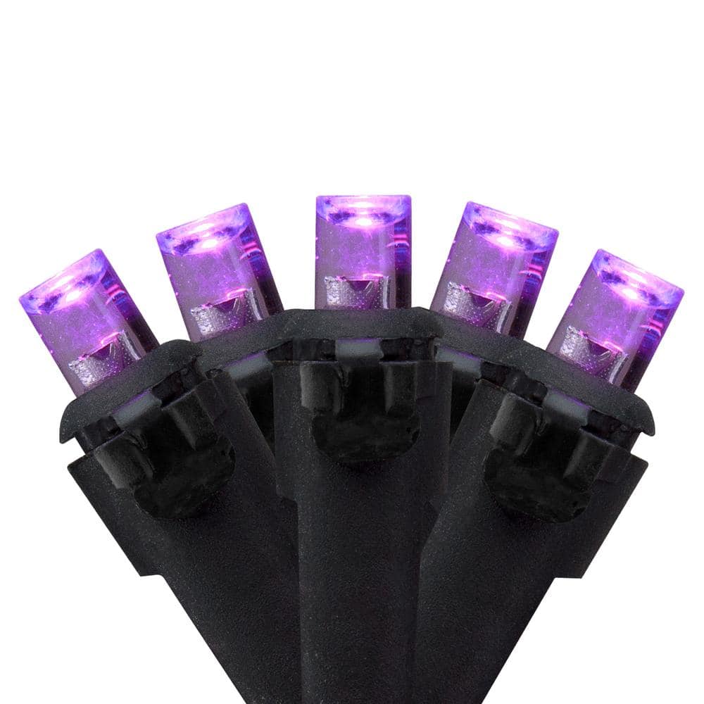 Northlight 50-Count Wide Angle Purple LED Christmas Lights 16 ft. Black ...