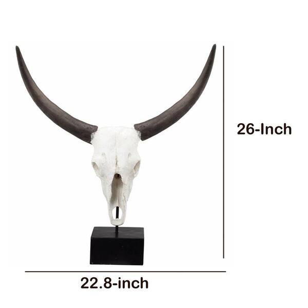 Ankole Watusi Skull