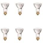 Philips 35-Watt Equivalent R20 Halogen Flood Light Bulb (6-Pack) 456961