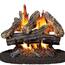 ProCom 24 in. Vented Natural Gas Fireplace Log Set WAN24N-2 - The Home ...