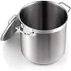 Cooks Standard Professional Grade 11 qt. Stainless Steel Stock Pot with ...