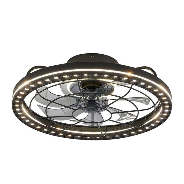 WDETR 19 in. Indoor Black Low Profile Caged Ceiling Fan with Lights ...