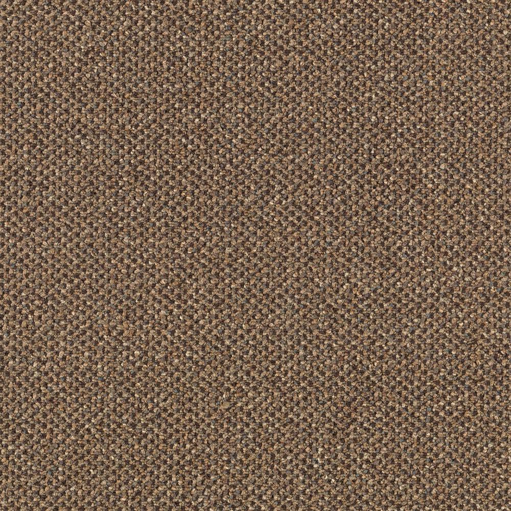 TrafficMaster Social Network I - Tree Bark - Brown 21 oz. Nylon Loop ...