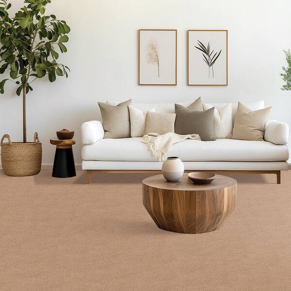 Basement - Water Repellent - Installed Carpet - The Home Depot