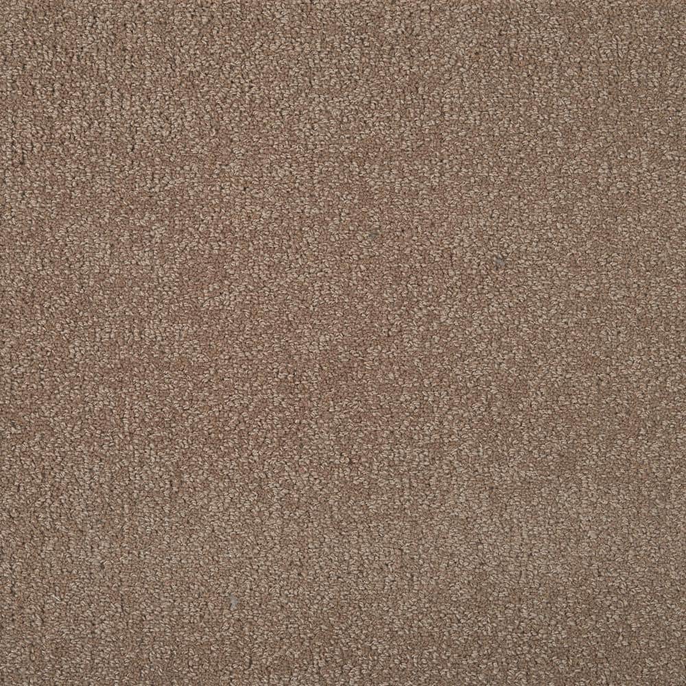 Natural Harmony 6 in. x 6 in. Texture Carpet Sample - Feather - Color ...