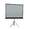 ProHT 100 in. Portable Projection Screen 05358 - The Home Depot