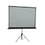 ProHT 120 in. Electric Projection Screen with White Frame 05356