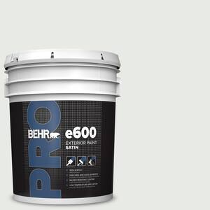 BEHR PRO 5 gal. #BL-W08 Frothy Surf Low Luster Exterior Paint PR62005 ...