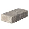 Pavestone RumbleStone Mini 7 in. x 3.5 in. x 1.75 in. Greystone ...