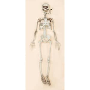 36 in. Halloween Posable Skeleton 4229 - The Home Depot