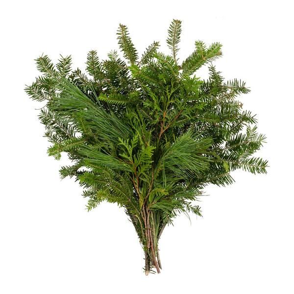 METROLINA GREENHOUSES 1 DIY Holiday Greens Bough Bundle Mix (1-Pack ...