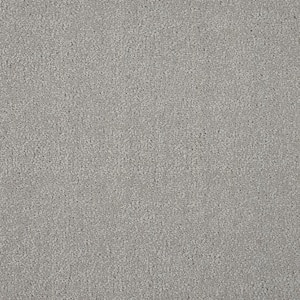 Natural Harmony 6 in. x 6 in. Texture Carpet Sample - Feather - Color ...