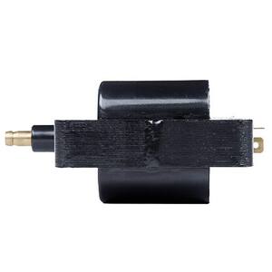 Delphi Ignition Coil GN10359 - The Home Depot