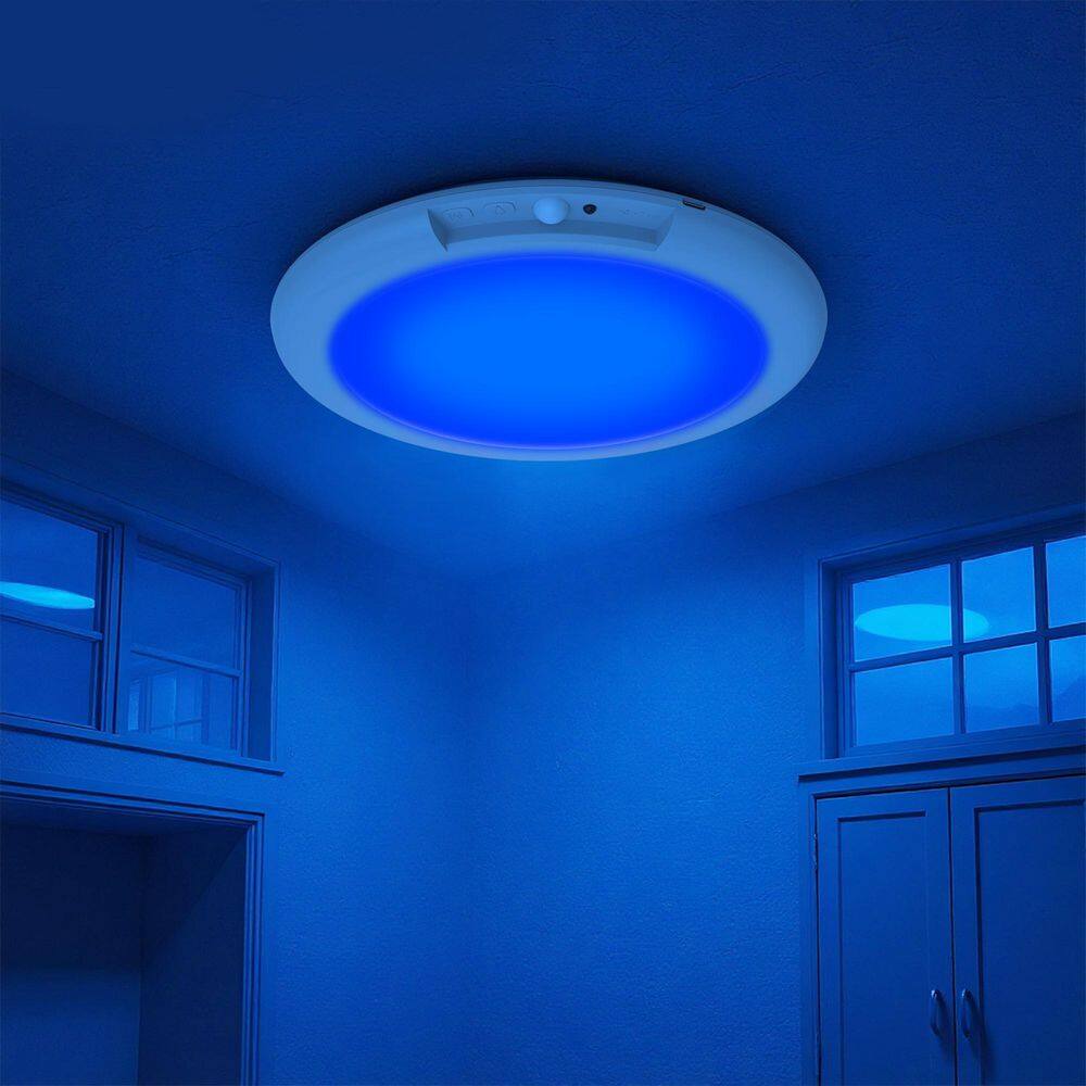 Emeritpro 0.57 in. Round Antique White Plastic LED Flush Mount Ceiling ...