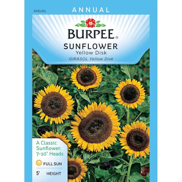 Burpee Sunflower Yellow Disk Seed 38380 - The Home Depot