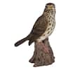 HI-LINE GIFT LTD. Songbird Standing on Stump with Sound Motion Sensor ...