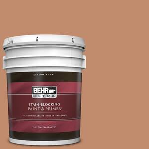 BEHR MARQUEE 1 gal. #240F-4 Tiny Fawn Satin Enamel Interior Paint ...