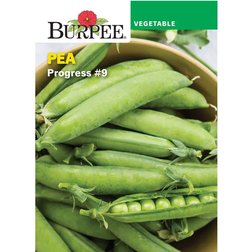 Burpee Pea Shelling Progress #9 Seed 69733 - The Home Depot