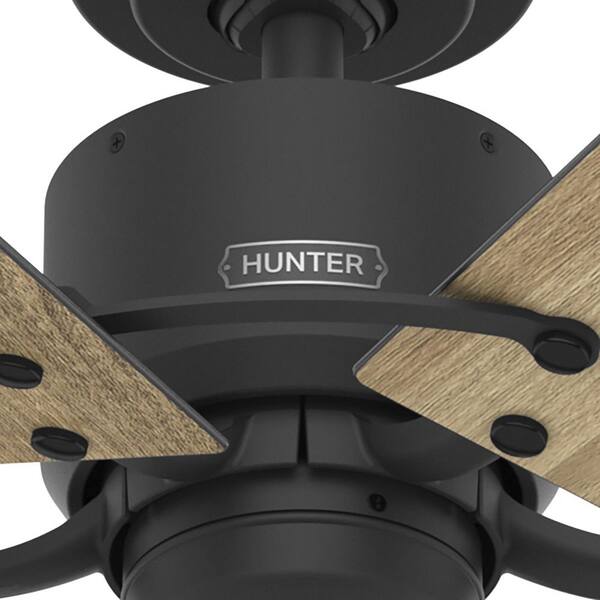 Hunter Landsdowne Ceiling Fan 5 Blade 52 In | Shelly Lighting
