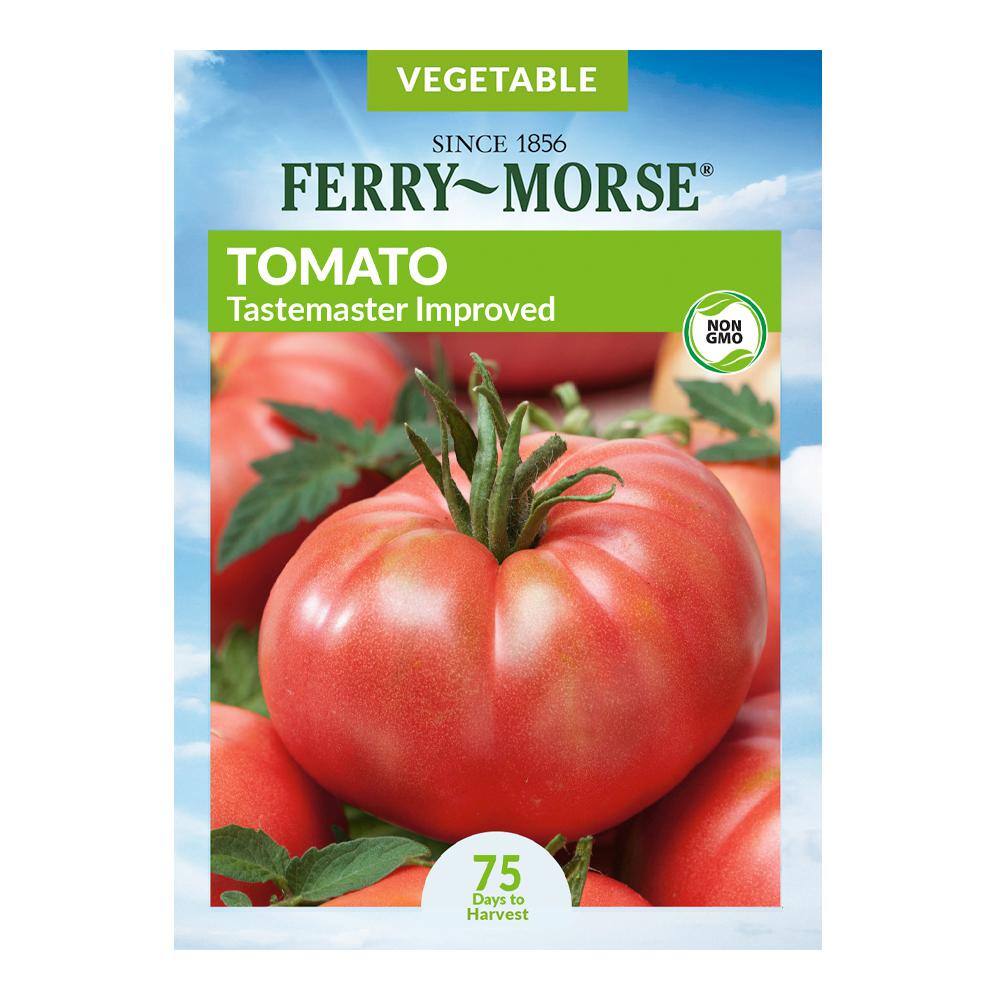 Ferry-Morse Tomato Tastemaster Improved Hybrid Fruit Seed 9768 - The ...