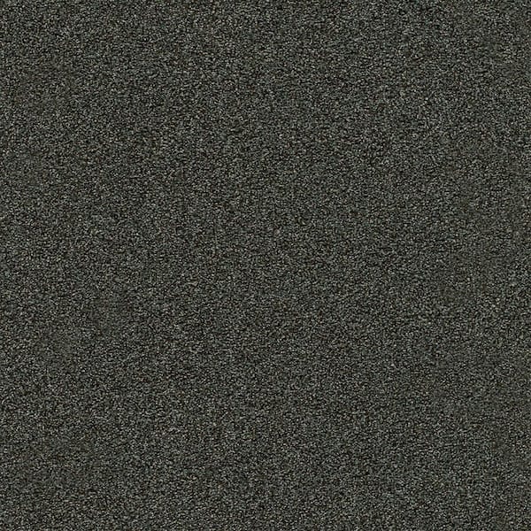 Engineered Floors 8 in. x 8 in. Texture Carpet Sample-Dewdrop III-Color ...