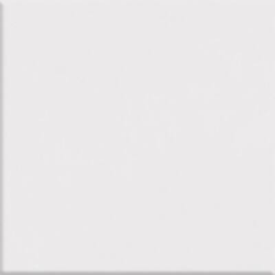 8x8 - Ceramic Tile - Tile - The Home Depot