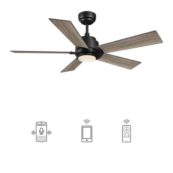 CARRO Aspen 56 in. Dimmable LED Indoor/Outdoor Black Smart Ceiling Fan ...