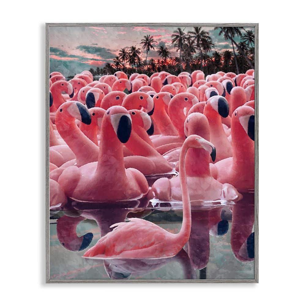 Stupell Industries Flamingo Among Floats by Ziwei Li Gray Framed ...