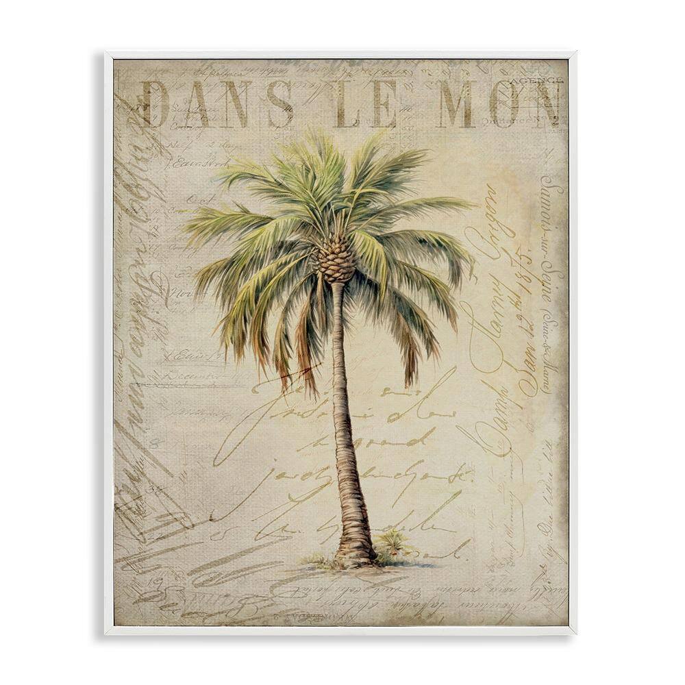 Stupell Industries Vintage Palm Tree by Andrea Haase 1 Piece White ...