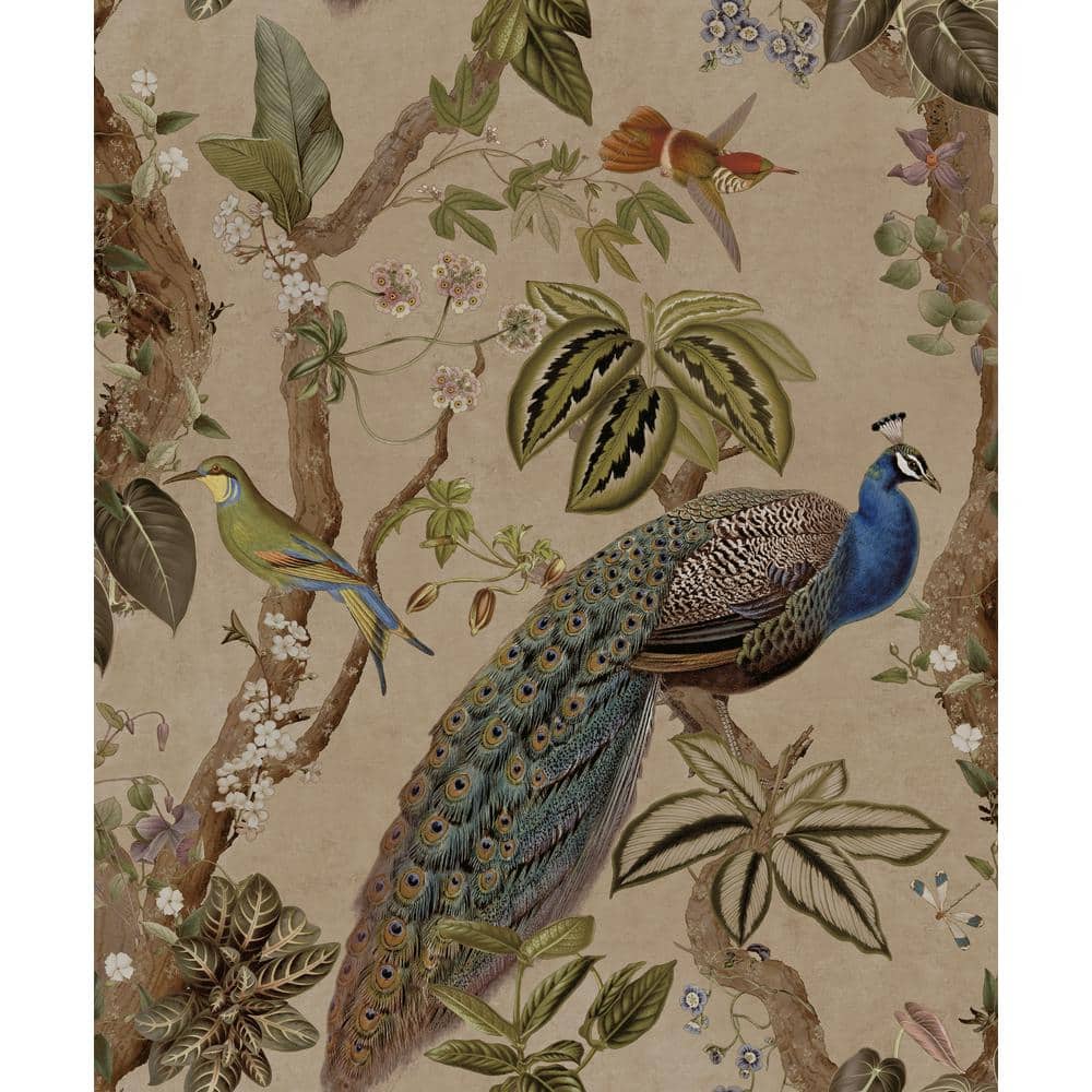 HOLDEN Cassia Peacock Taupe Non-Pasted Non-Woven Wallpaper (Covers 56 ...