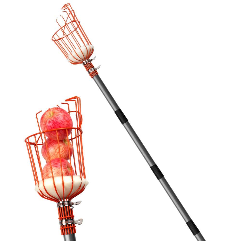 WaLensee 156 in. Stainless Steel Handle Fruit Picker FP-003-B - The ...