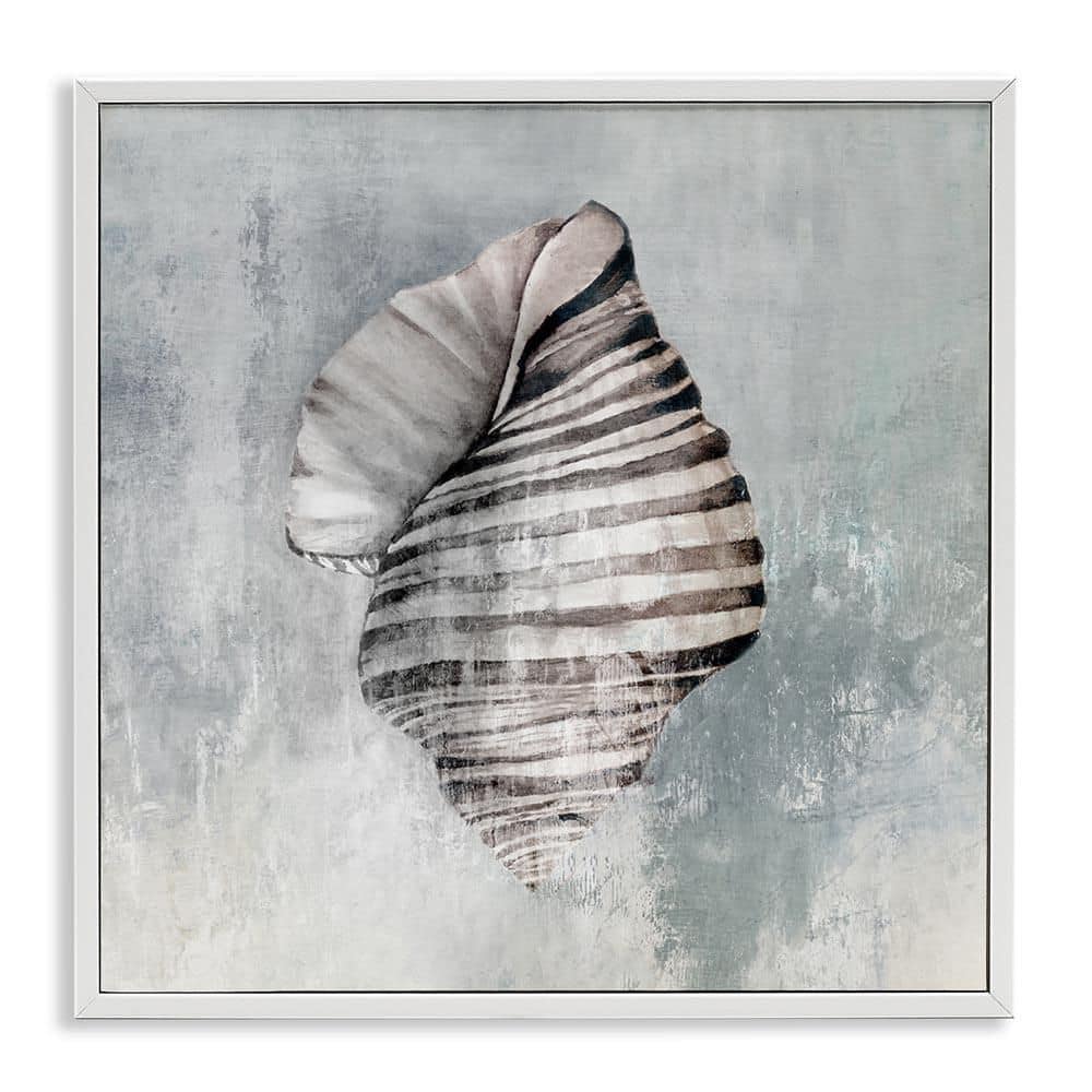 Stupell Industries Organic Twisted Seashell by Eli Jones White Framed Coastal Giclee Art Print ...