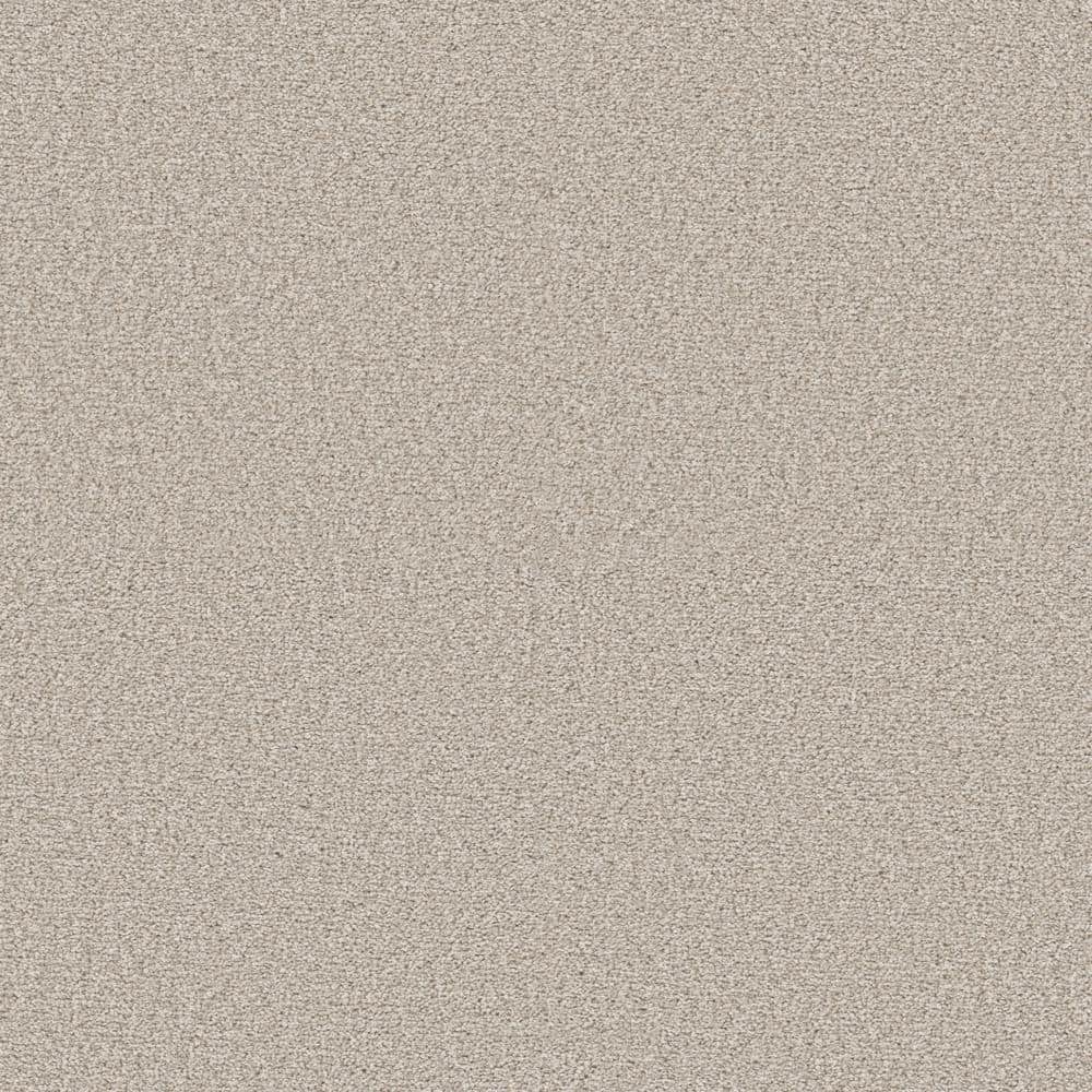 Home Decorators Collection Enchanted - Color Nutria 61 oz. Polyester ...