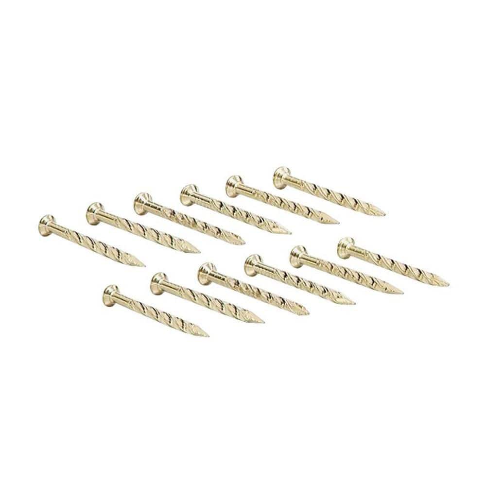 M-D Building Products 1-1/4" SATIN BRASS FLOOR METAL SCREW NAILS (12CT ...