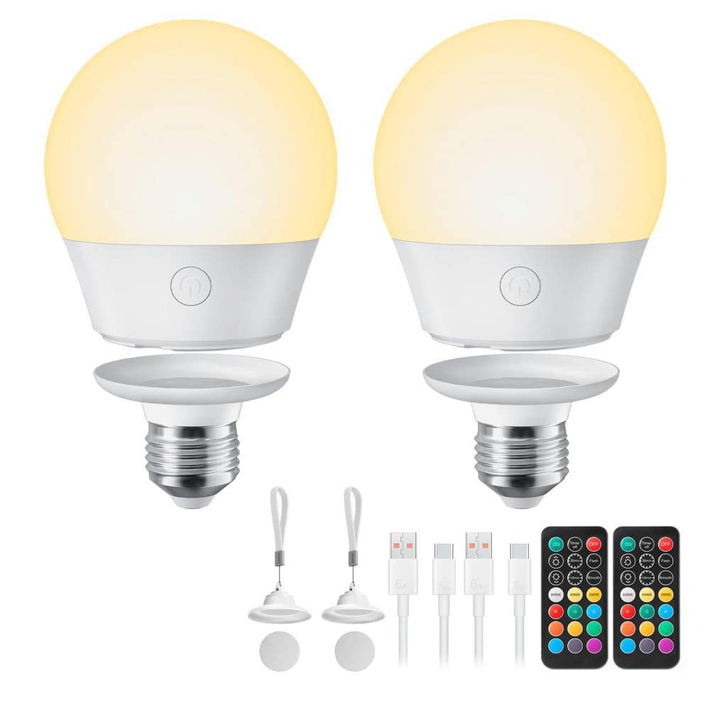 Vrbgify 60-Watt Equivalent A19 Dimmable LED Light Bulb with 3-Color ...