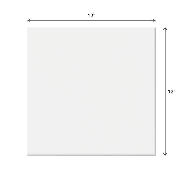 Daltile Glacier White 12 In X 12 In Ceramic Floor And Glacier White 12