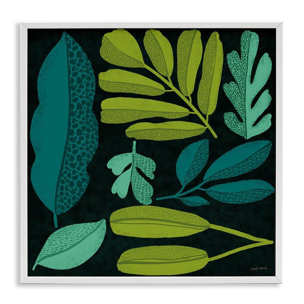 Stupell Industries Plant Toss Collage by Cheryl Warrick White Framed Nature Giclee Art Print 12 ...