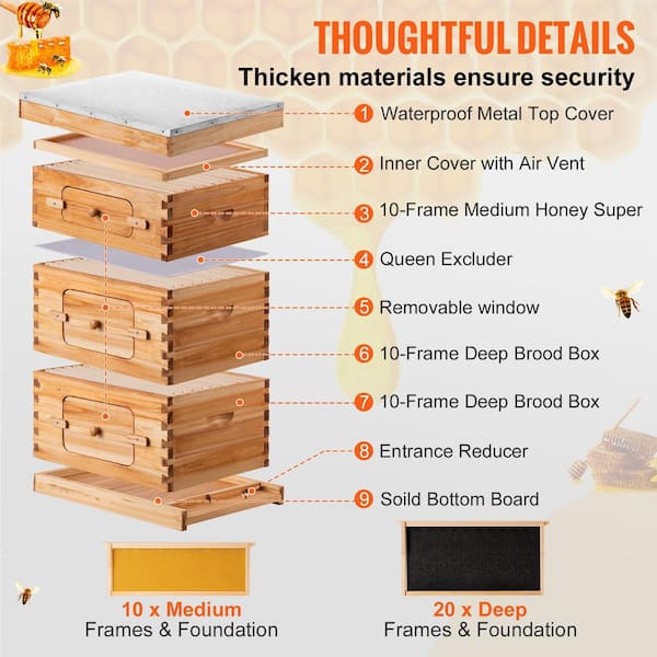 Natural Beehive Diagram