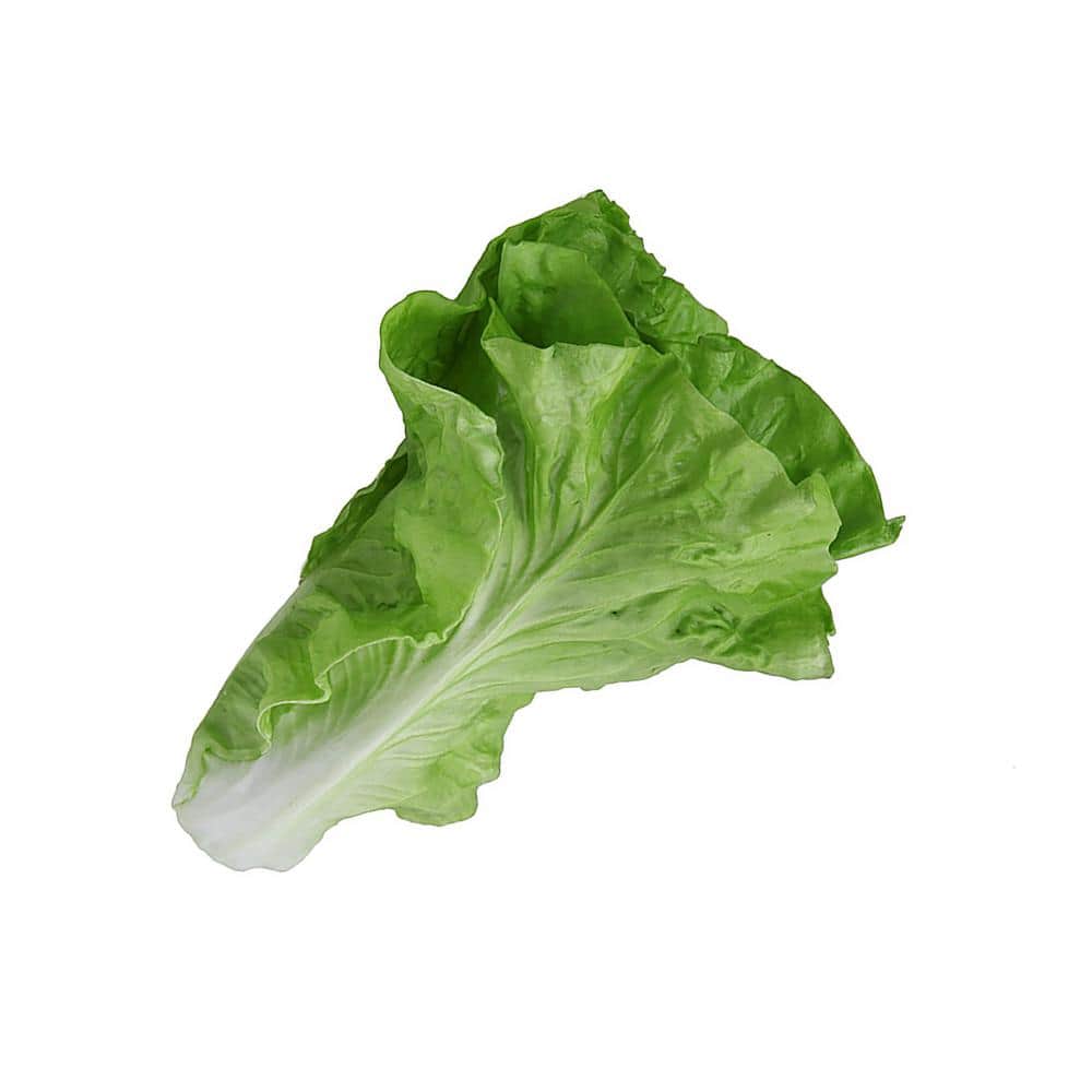 Flora Bunda Large Artificial Real Touch Lettuce FT1991-GN - The Home Depot