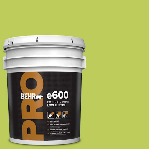 BEHR PRO 5 gal. #410B-5 Hidden Meadow Low Luster Exterior Paint PR62305 ...