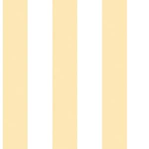Smart Stripes 3 Black/White Surface Stripe Matte Finish Non-Pasted ...