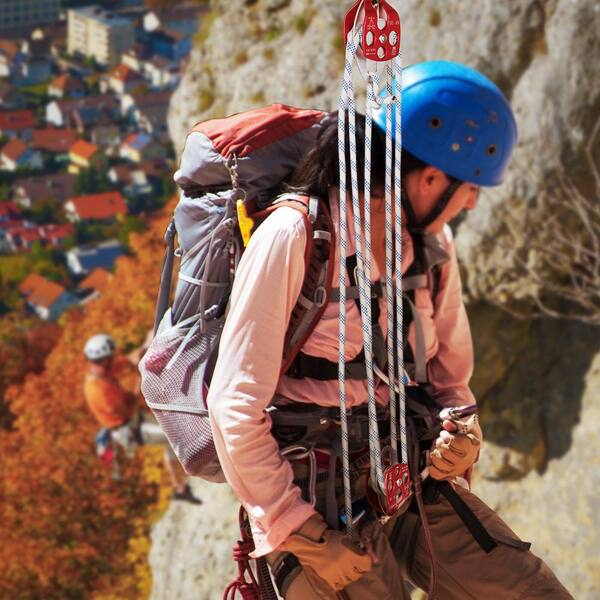 Buy 100 ft. L Twin Sheave Block and Tackle 7700 lbs. Capacity Double ...