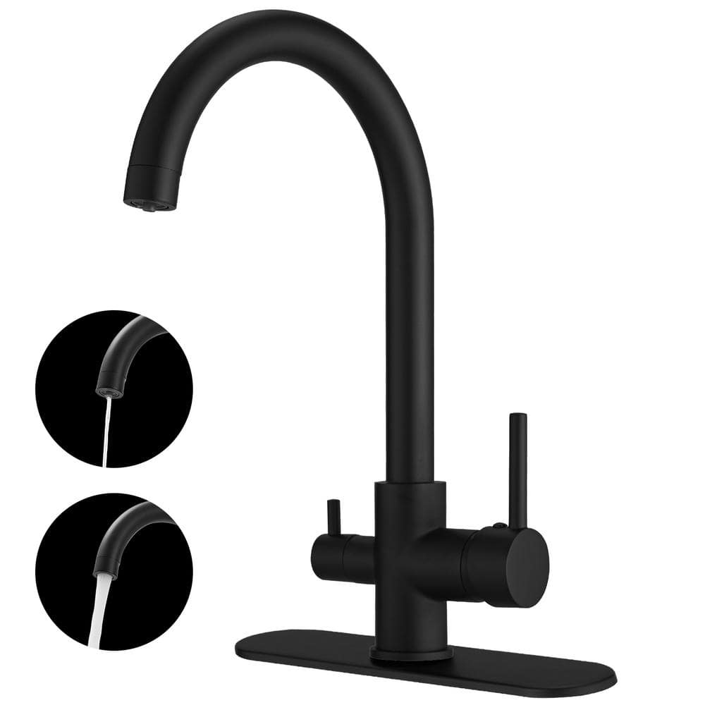 BWE Double Handle Hole 2-Handle Water Filter Purifier Faucets Kitchen Beverage Faucet Water ...