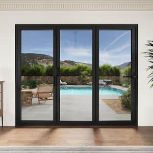 ARK DESIGN 120 in. x 80 in. Right Swing/Outswing Double Tempered Glass ...