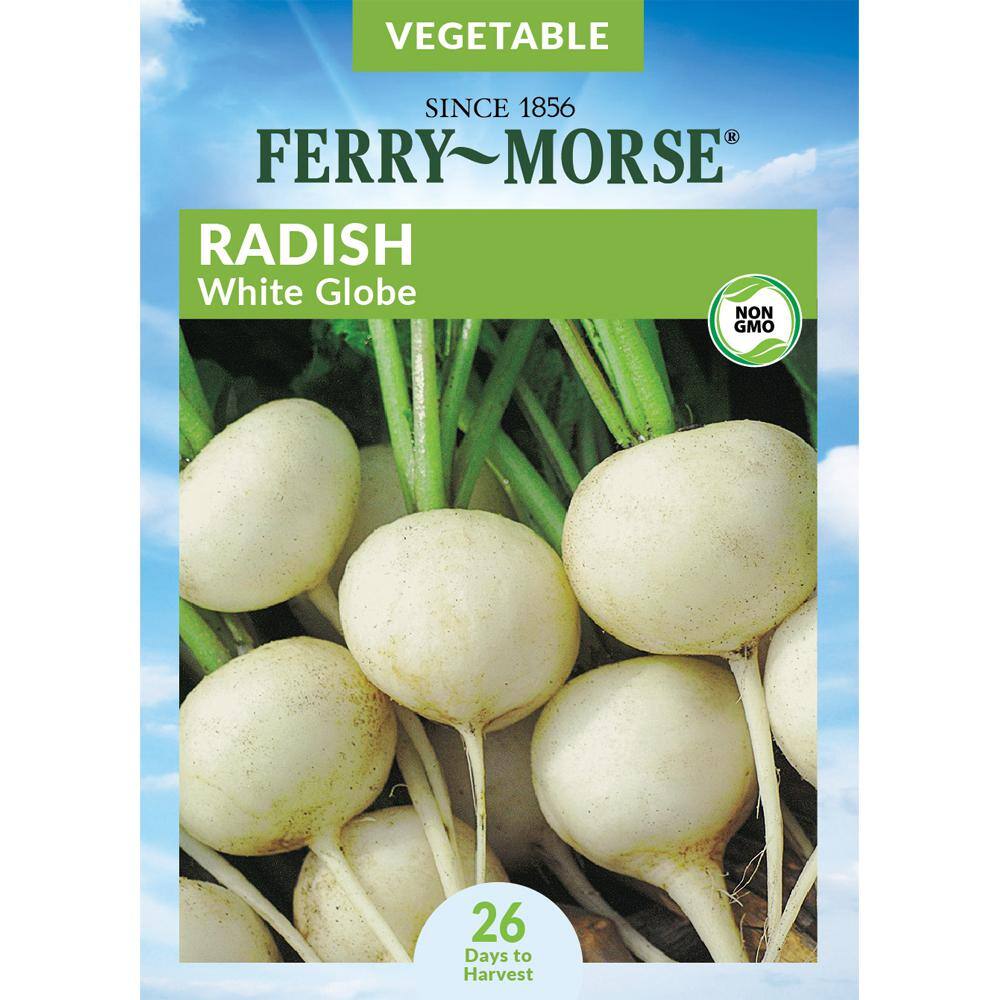Ferry-Morse Radish White Globe Vegetable Seed 2881 - The Home Depot