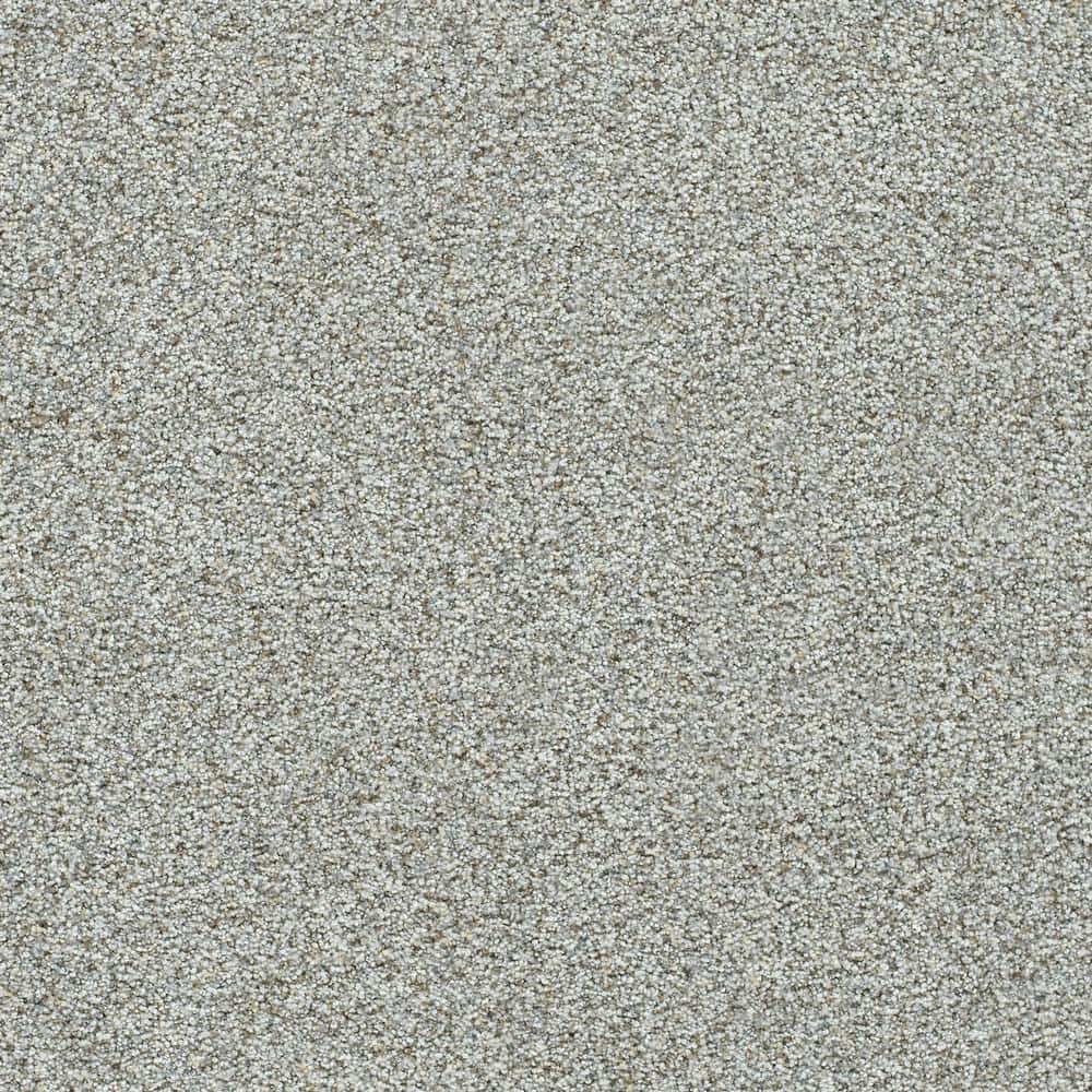 Lifeproof 8 in. x 8 in. Texture Carpet Sample-Folklore II-Color Legend ...